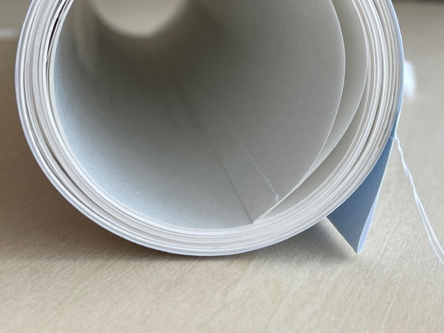 鈴木敦子 写真集: ATSUKO SUSUKI: APPEAR